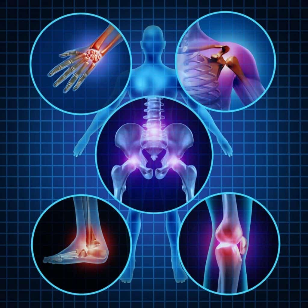 How to Improve Your Bone and Joint Health - Youngevity Australia ...